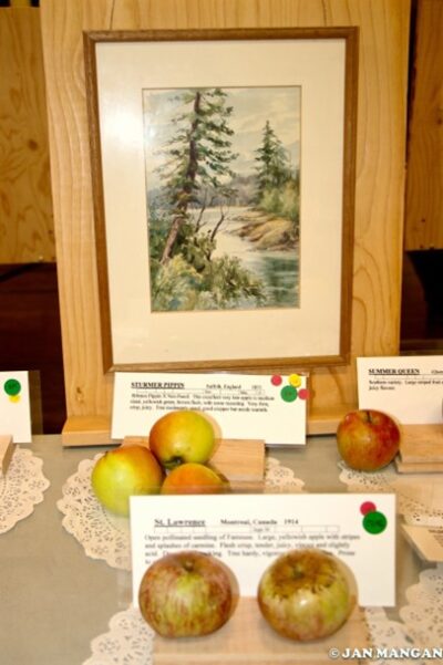 Blog - Salt Spring Island Apple Festival