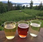 Blog - Salt Spring Island Apple Festival