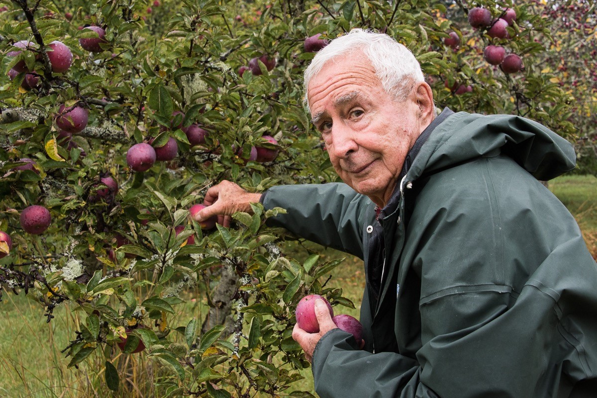 Blog - Salt Spring Island Apple Festival